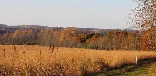 Best Hikes and Trails in Natural Lands' Binky Lee Preserve | AllTrails