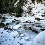 Timber Lake Trail, Colorado - 538 Reviews, Map | AllTrails