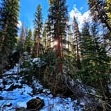 Timber Lake Trail, Colorado - 632 Reviews, Map | AllTrails