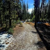 Timber Lake Trail, Colorado - 632 Reviews, Map | AllTrails