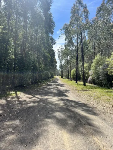 Best Hikes and Trails in Wandong Regional Park | AllTrails