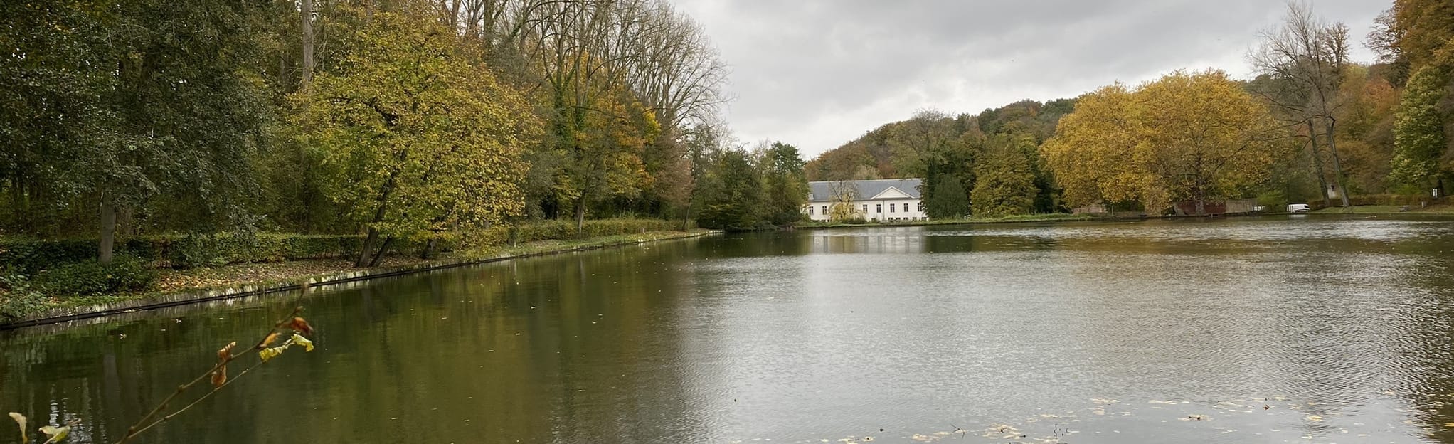 Grand étang des Clabots - Forêt de Soignes: 134 Fotos - Region Brüssel ...