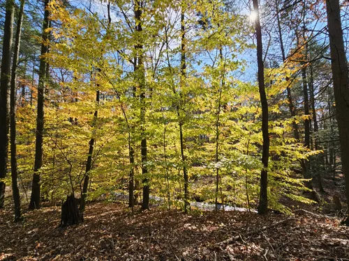 Best Hikes and Trails in Stone Valley Recreation Area | AllTrails