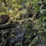 Cecilia Waterfall via Cecilia Forest, Western Cape, South Africa ...