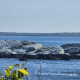 Sachuest Point National Wildlife Refuge Trail, Rhode Island - 1,581 ...