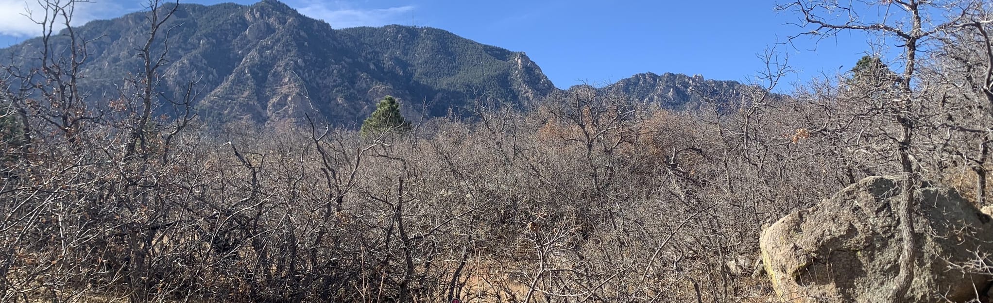 Raccoon Ridge, Acorn Alley, and Bobcat Way Loop, Colorado - 250 Reviews ...