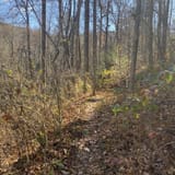 Jarrard Gap, Slaughter Creek, and Appalachian Trail Loop, Georgia - 378 ...