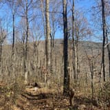 Jarrard Gap, Slaughter Creek, and Appalachian Trail Loop, Georgia - 434 ...