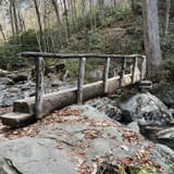 Ramsey Cascades Trail, Tennessee - 2,173 Reviews, Map | AllTrails