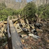 Ramsey Cascades Trail, Tennessee - 2,173 Reviews, Map | AllTrails