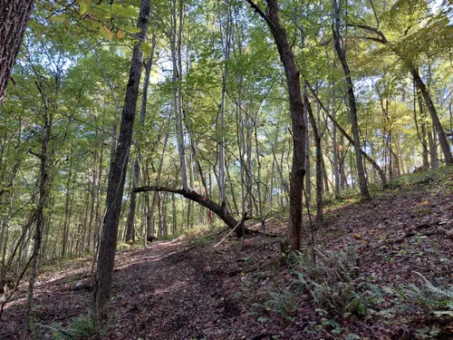 Best Hikes and Trails in Bryant Creek State Park | AllTrails