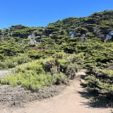 San Simeon Bay Trail, California - 1,149 Reviews, Map | AllTrails