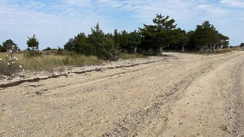 Best Hikes and Trails in Cedar Point County Park | AllTrails