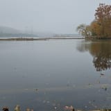 Octoraro Creek Trail, Maryland - 160 Reviews, Map | AllTrails