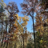 Fowler Park Loop, Georgia - 282 Reviews, Map | AllTrails