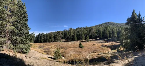10 Best Trails and Hikes in Idyllwild-Pine Cove | AllTrails