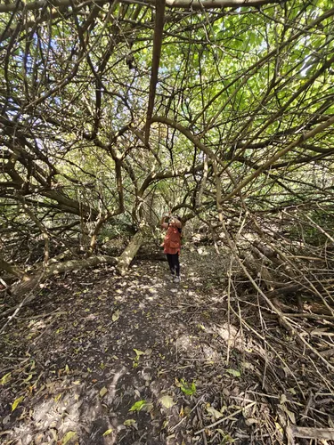 Best Hikes and Trails in Wye Island Natural Resource Management Area ...