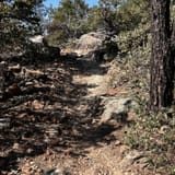 Highline Trail #31, Arizona - 237 Reviews, Map | AllTrails