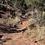 Highline Trail #31, Arizona - 237 Reviews, Map | AllTrails
