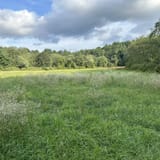 Carbuncle Pond and Moosup River Trail, Rhode Island - 261 Reviews, Map ...