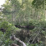 Carbuncle Pond and Moosup River Trail, Rhode Island - 261 Reviews, Map ...