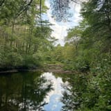 Carbuncle Pond and Moosup River Trail, Rhode Island - 261 Reviews, Map ...