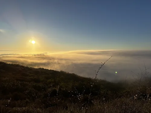 Quail Hill Community Park: de beste routes om te wandelen | AllTrails