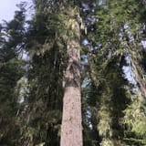 Fish Lake Trail, Oregon - 55 Reviews, Map | AllTrails