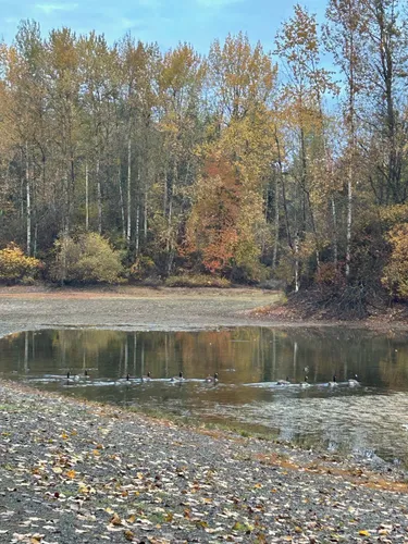 Noel Booth Community Park: de beste routes om te wandelen | AllTrails