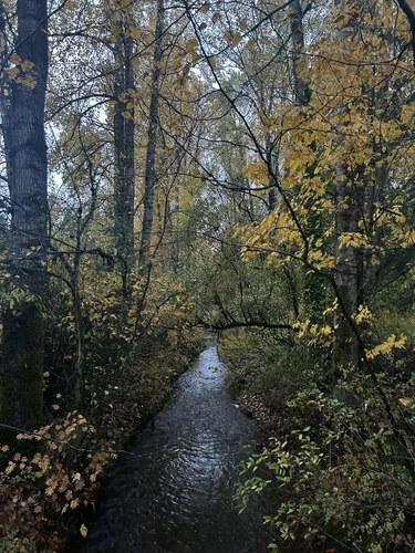 Noel Booth Community Park: de beste routes om te wandelen | AllTrails