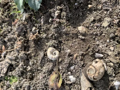 Best Hikes and Trails in Bluff Spring Fen Nature Preserve | AllTrails