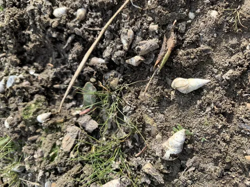 Best Hikes and Trails in Bluff Spring Fen Nature Preserve | AllTrails