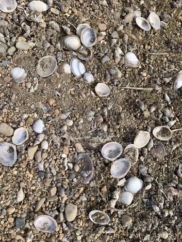 Best Hikes and Trails in Bluff Spring Fen Nature Preserve | AllTrails