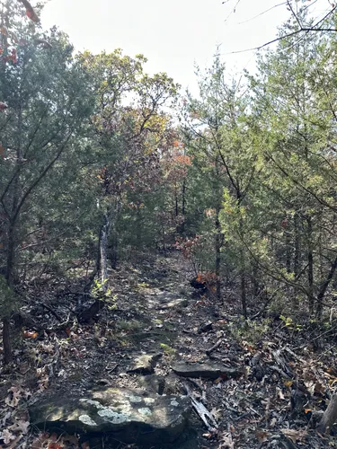 Best Hikes and Trails in Toronto State Park | AllTrails