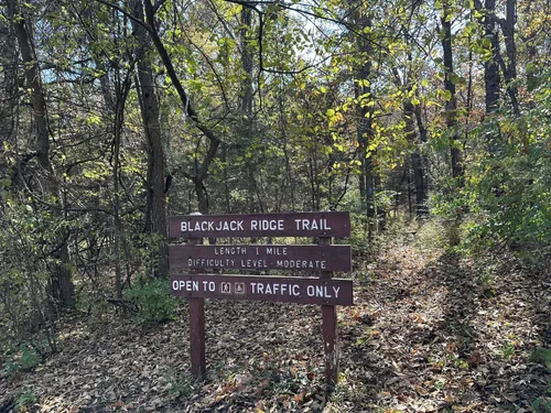 Best Hikes and Trails in Toronto State Park | AllTrails
