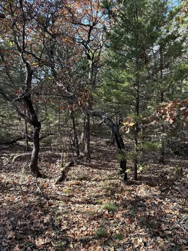 Best Hikes and Trails in Toronto State Park | AllTrails