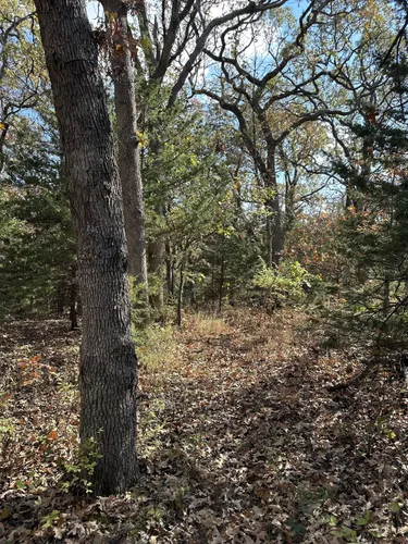 Best Hikes and Trails in Toronto State Park | AllTrails