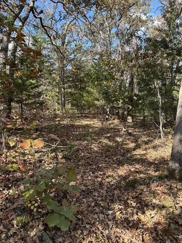 Best Hikes and Trails in Toronto State Park | AllTrails