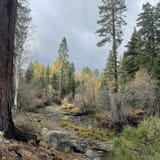 Rainbow Trail, California - 351 Reviews, Map | AllTrails
