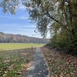 Octoraro Creek Trail, Maryland - 160 Reviews, Map | AllTrails