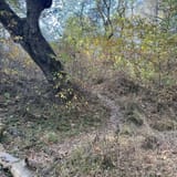 Octoraro Creek Trail, Maryland - 160 Reviews, Map | AllTrails