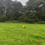 Redesmere and Capesthorne Circular, Cheshire, England - 134 Reviews ...