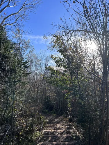 Best Hikes and Trails in Cavendish | AllTrails