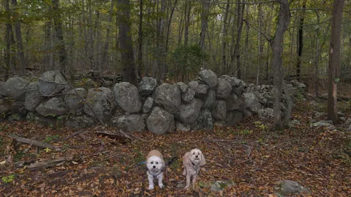 Best Hikes and Trails in Upper Three Mile River Preserve | AllTrails