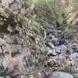 Tenaja Canyon via Tenaja Trail, California - 181 Reviews, Map | AllTrails