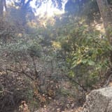 Tenaja Canyon via Tenaja Trail, California - 181 Reviews, Map | AllTrails