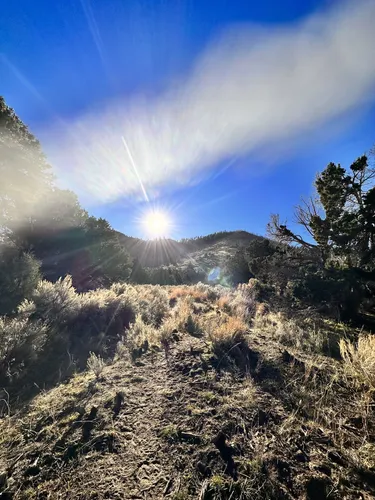 Best Backpacking Trails in Dixie National Forest | AllTrails