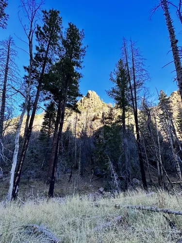 Best Backpacking Trails in Dixie National Forest | AllTrails