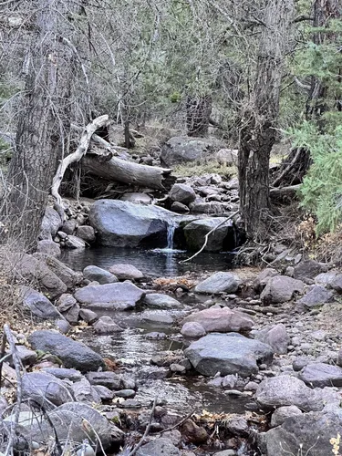 Best Backpacking Trails in Dixie National Forest | AllTrails