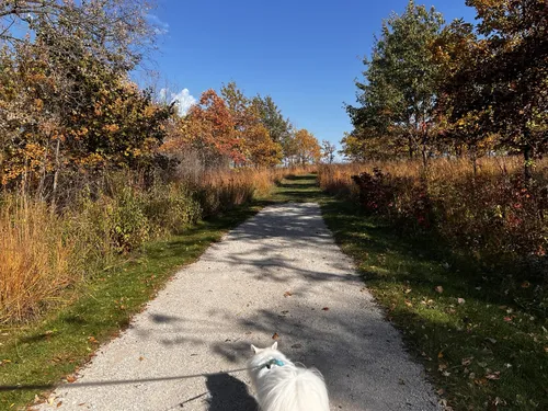 Best Hikes and Trails in F.W. Kent County Park | AllTrails